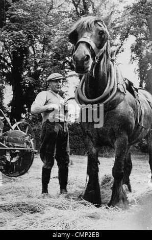 Barnhurst Farm, Pendeford, Early 20th cent. Leo James with a farm horse ...