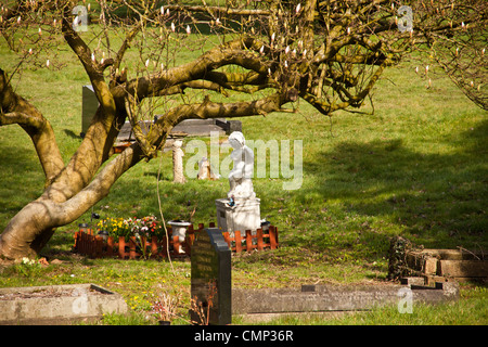 childs grave under cherry tree just coming into blossom, in cemetery ...