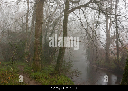 Teign Valley, above Steps Bridge; Dartmoor, Devon Stock Photo - Alamy
