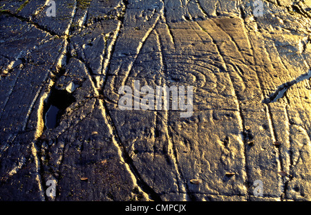 Prehistoric cup and ring mark carved stone rock art outcrop at ...