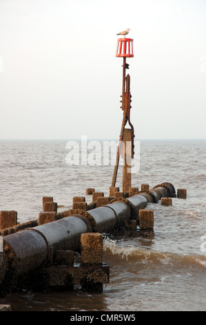 Surface water outfall pipe on sandy beach Stock Photo - Alamy