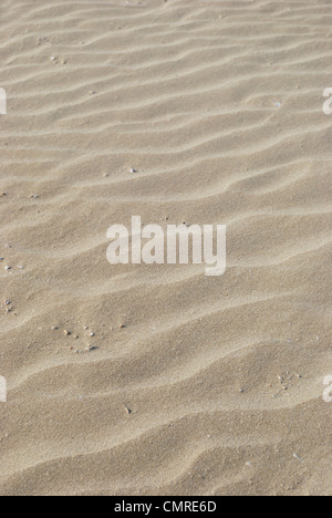 Abstract background of sand ripples at the beach Stock Photo - Alamy