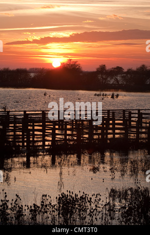 Sunset over the Great Ouse Washes, Welney Stock Photo - Alamy