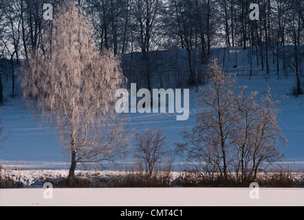 Winter lake captured in Kortowo. Olsztyn, Poland Stock Photo - Alamy
