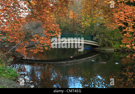 Botanischer Garten Rombergpark in Dortmund, Ruhrgebiet, Nordrhein ...