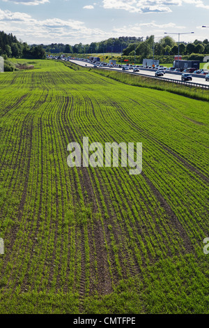Country road next to a field Stock Photo - Alamy