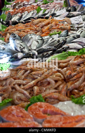Prawns - Venice Rialto Fish Market Stock Photo - Alamy