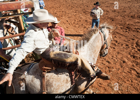 Cowboys in action riding horseback and roping a bull. bull is ...