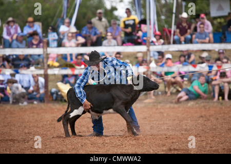 Cowboy calf-roping at the Mt Garnet Rodeo. Mt Garnet, Queensland ...