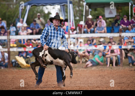 Cowboy calf-roping at the Mt Garnet Rodeo. Mt Garnet, Queensland ...