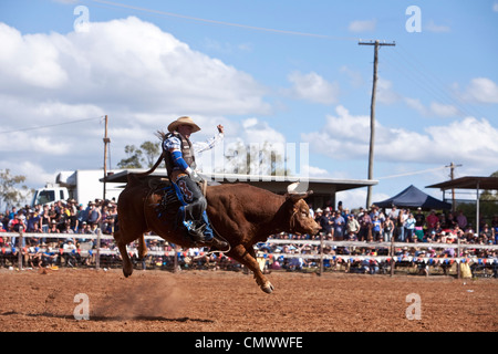 A cowboy competing in the bull riding competition at a country rodeo ...