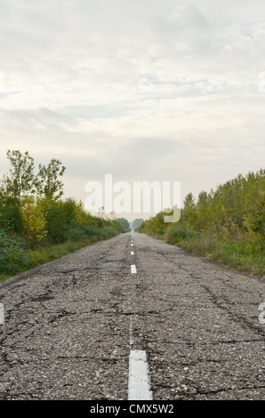 Vertical shot of a cracked asphalt road on a sunny day Stock Photo - Alamy