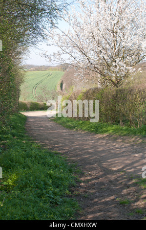 Brecks Lane, Kippax Stock Photo - Alamy