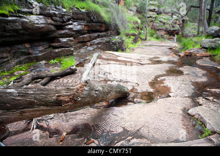 Rippled stone at The Terraces, evidence of an ancient sea bed, in ...