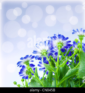 Abstract floral spring background, Blooming flowers lilac Stock Photo ...