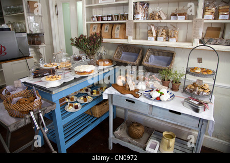 Montebello Cafe Restaurant in Newlands - Western Cape Stock Photo - Alamy