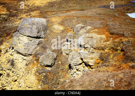 Beautiful landscape of Repedea nature reserve in spring, Iasi, Romania ...