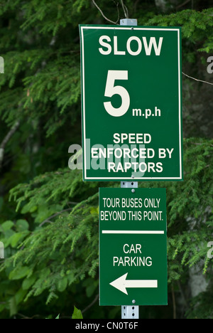 USA, Alaska, Sitka, Alaska Raptor Center. Captive bald eagle Stock ...