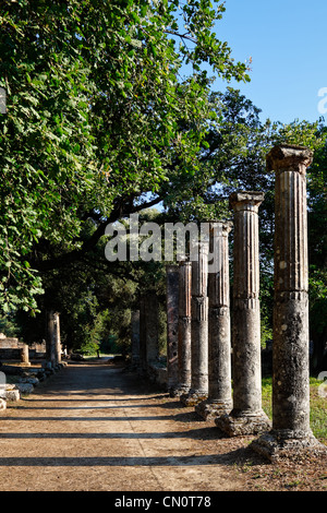 The palaestra in the Ancient Olympia, Greece, was the training ground ...