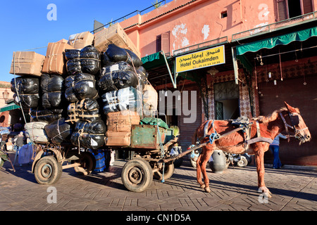 Heavily-laden mule cart loaded with blue sacks waiting in front of an ...