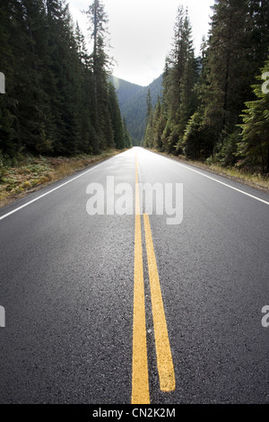 Empty Highway Through Forest, Montana, USA Stock Photo - Alamy