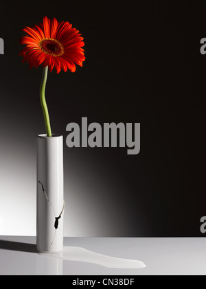 A broken vase Stock Photo - Alamy