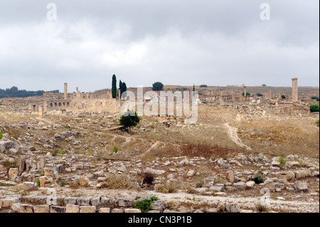 Overview, Cyrene, UNESCO World Heritage Site, Libya, North Africa ...