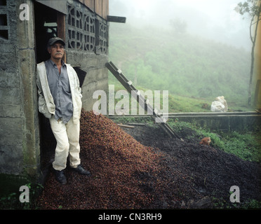 coffee bean husks on farm Stock Photo - Alamy