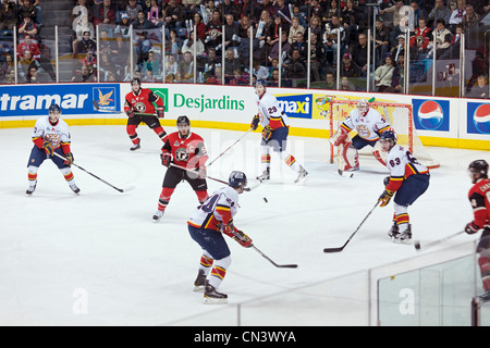 Canada, Quebec province, Quebec, the arena of the Coliseum sports ...