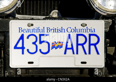 Victoria State car number plate with blue perimeter letters and numbers ...
