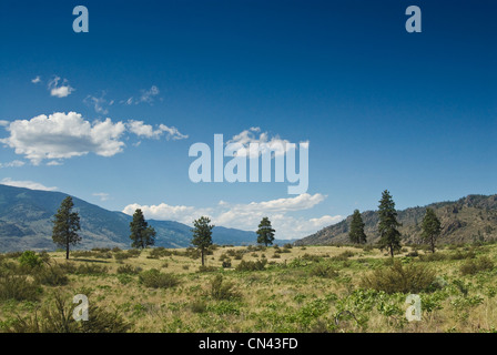 Pocket Desert, Osoyoos, BC Stock Photo - Alamy