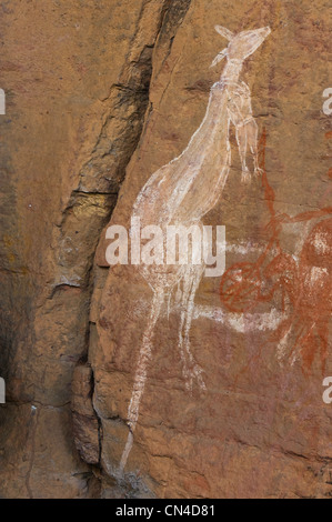 An Aboriginal x-ray rock painting art gallery featuring a Barramundi ...