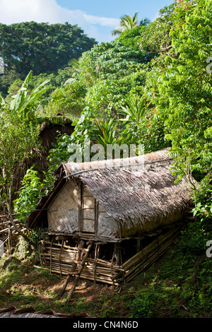 Vanuatu, Penama Province, Pentecost Island, Bunlap, traditional houses ...