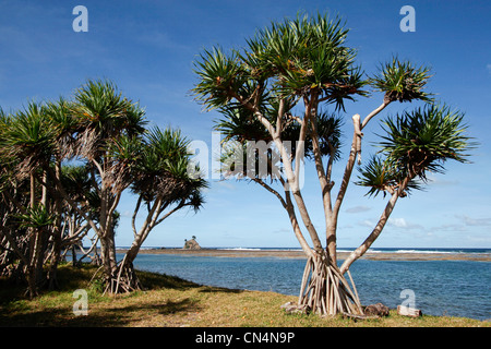 Vanuatu, Tafea Province, Tanna Island, Lenakel, Lonely Planet guide ...