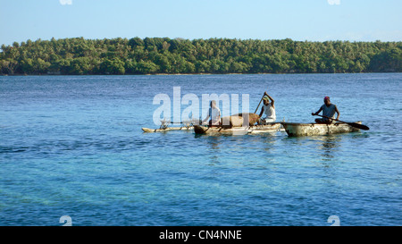 Melanesia, Vanuatu, Rano Island. Traditional wooden dugout canoe Stock ...