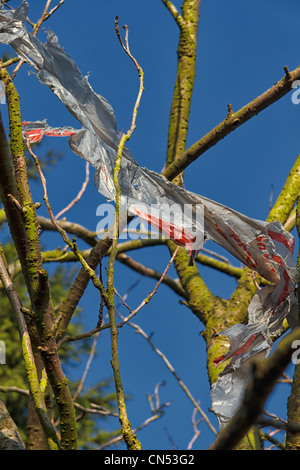 Plastic bag trapped in tree branches, environmental pollution and ...