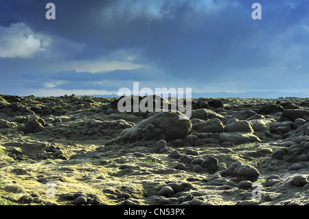Iceland nature - volcano stones, landscape and moss Stock Photo - Alamy