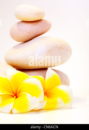 Beauty in nature, balanced lifestyle, environmental concept - Rustic ...