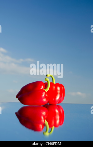 Two red peppers on a mirror isolated on a white background Stock Photo ...