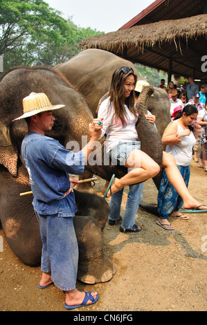 Woman sitting on trunk of elephant at The Elephant Show, Maetaman Stock ...