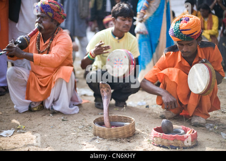 Indian Gypsies Pushkar Rajasthan India Stock Photo - Alamy