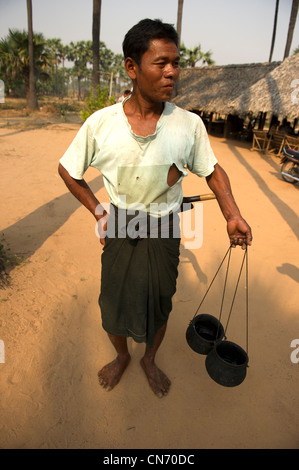 Toddy tapper climbing a palm tree to collect toddy ( palm tree wine ...