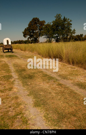 Oregon Trail wagon wheel ruts at the Echo Meadows BLM interpretive ...