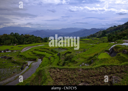 Panorama of terrace fields and villages, Java, Bali, South Pacific ...
