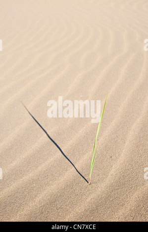 Greece, Lemnos Island, Gomati beach Stock Photo - Alamy