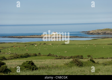 The island of Cribinau and the 13th-century church of St Cwyfan known ...