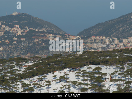 Lebanon, Mount Lebanon, Jabal Sannine Mountain range, backcountry skier during the descent of ...