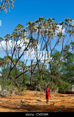 Meru National Park, Kenya. People touring on a safari Stock Photo - Alamy