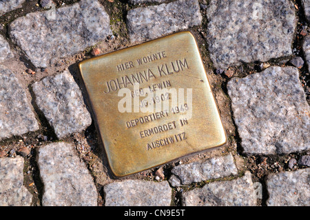 Holocaust memorial plaques (Stolperstein) for Jewish victims of the ...