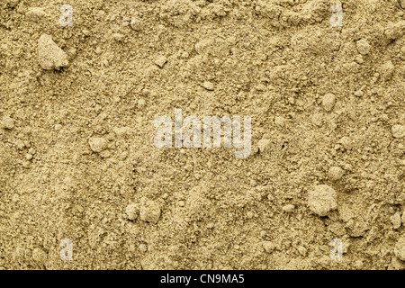 Hemp seed powder. Raw organic hemp protein powder isolated on white ...